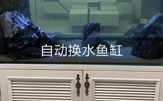 自动换水鱼缸