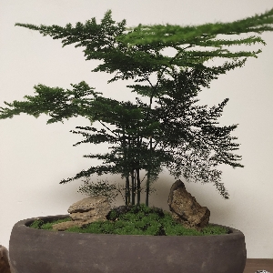 一起学写作 