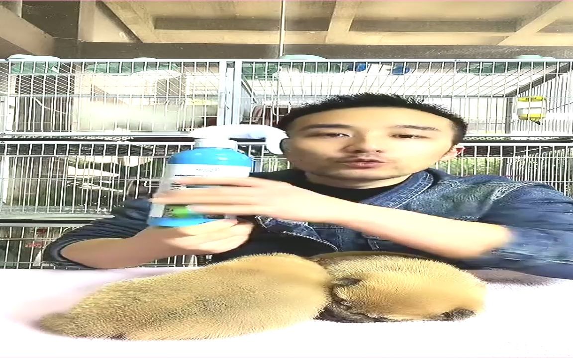 阿巴乔次氯酸消毒液 超值大桶装家用宠物医院学校消毒杀菌无刺激