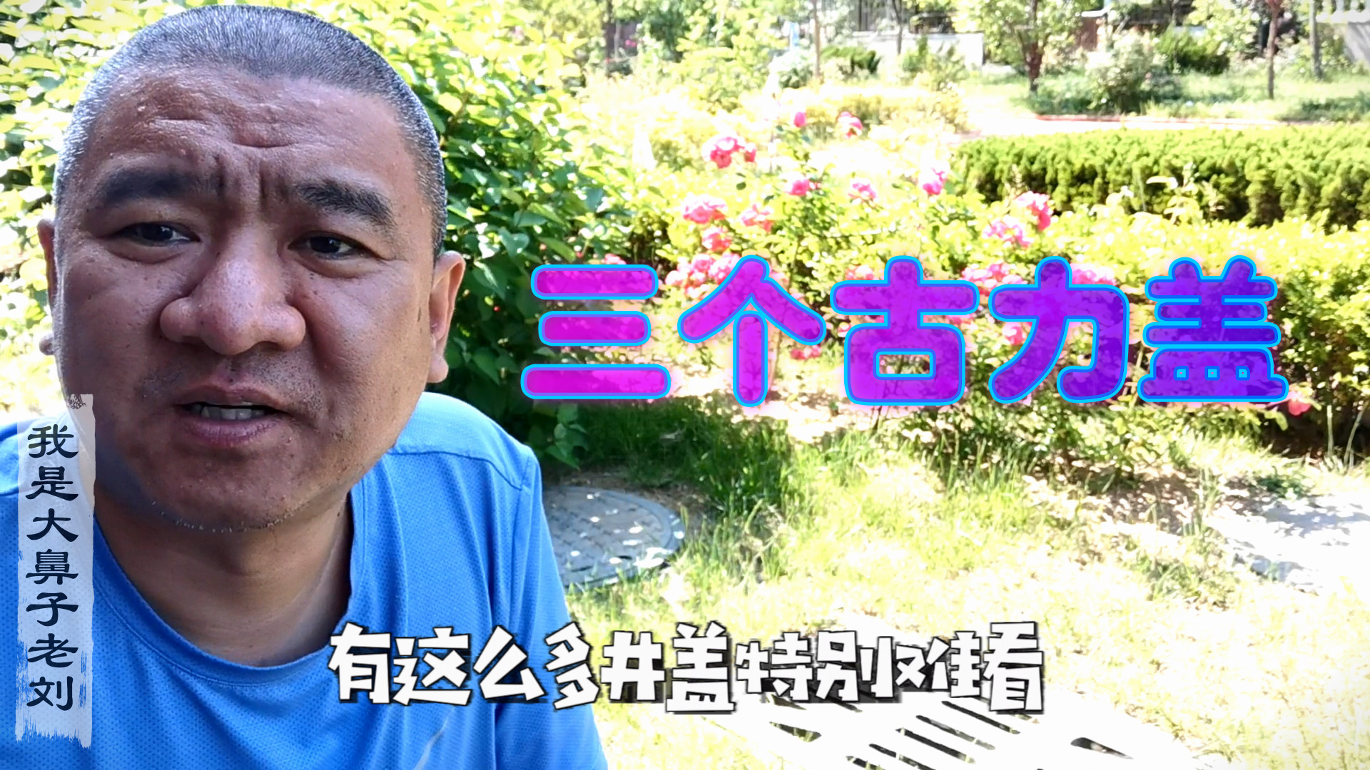 雨水井污水井井盖不美观怎么办?栽上棵金银花长大就能遮盖