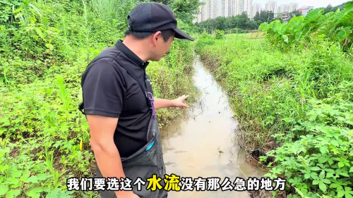 放地笼、小河沟里的地笼怎么放?位置怎么选?怎么放才能进更多鱼