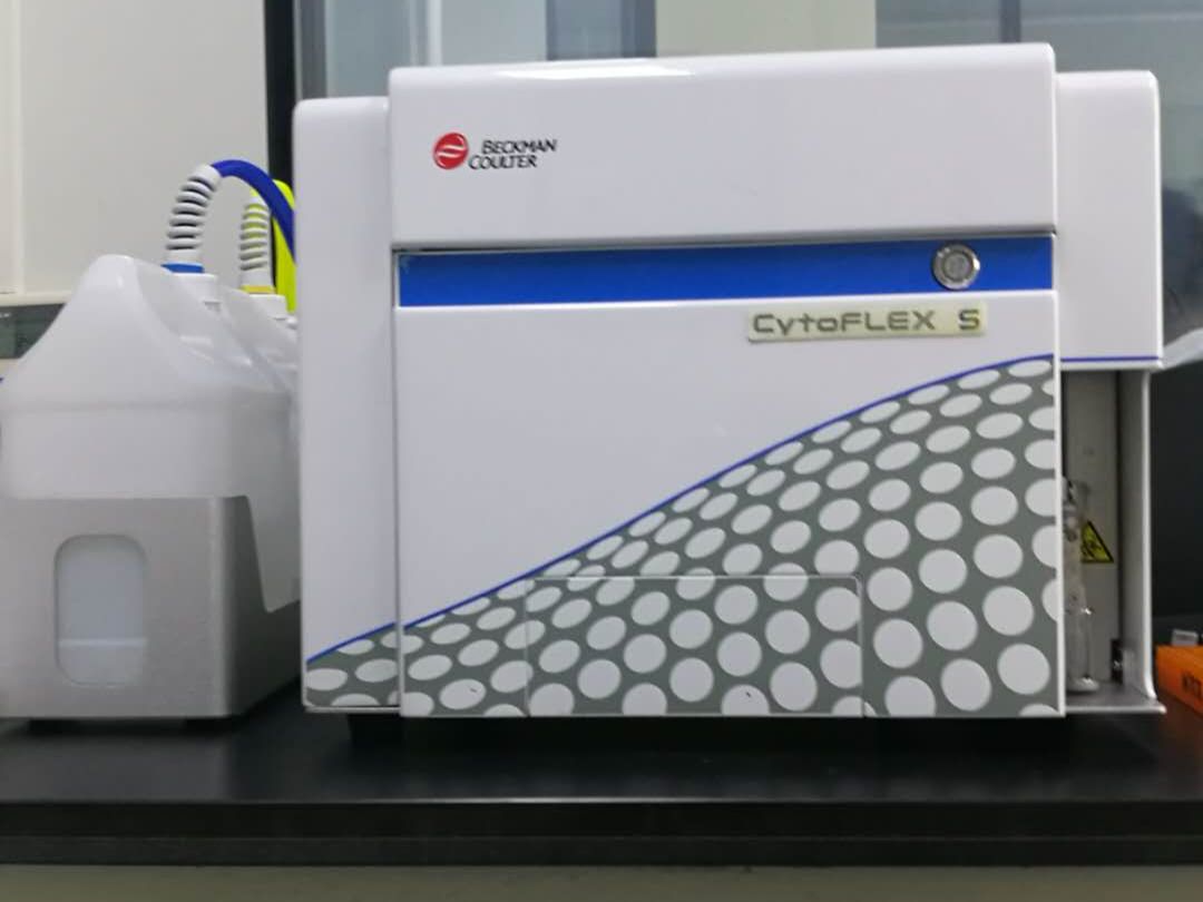 BECKMAN COULTER CYTOFLEX 软件操作(自录)