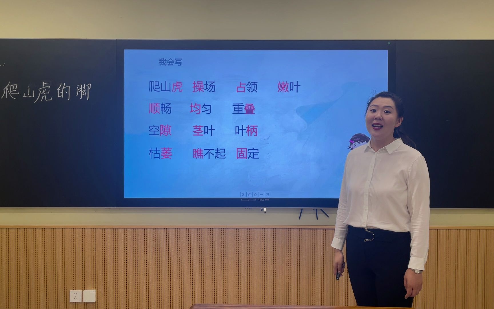 爬山虎的脚第一课时