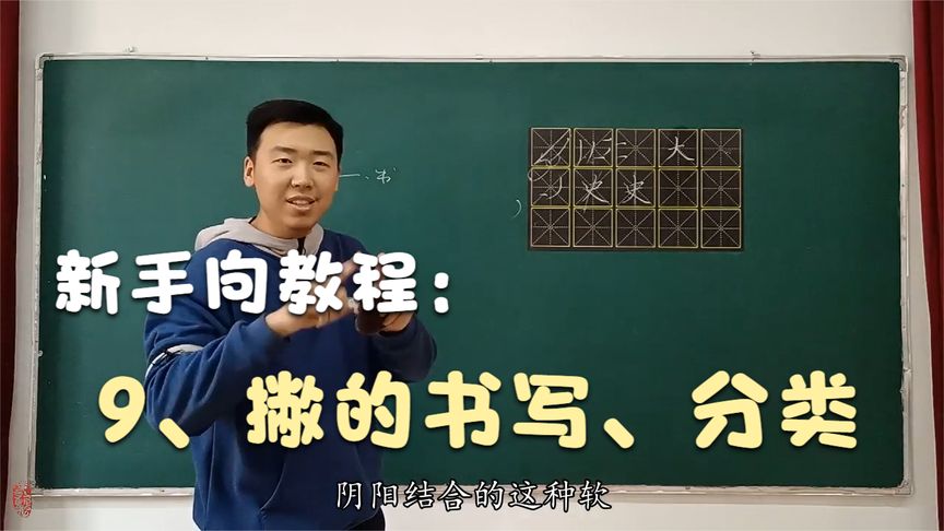 【硬笔书法基础(精简版)】9、撇的书写、分类