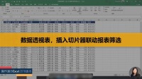 Excel 表格制作入门视频教程 第58集 数据透视表,插入切片器联动报表...