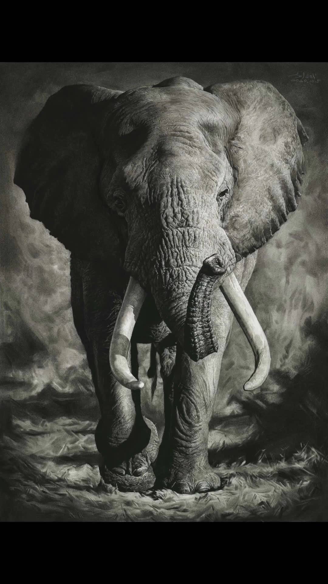 感受质感,表现深度,素描让平面世界立体起来