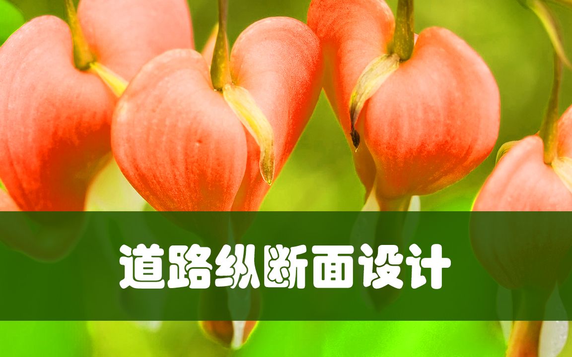 道路纵断面设计