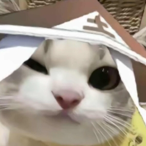 缘薮 