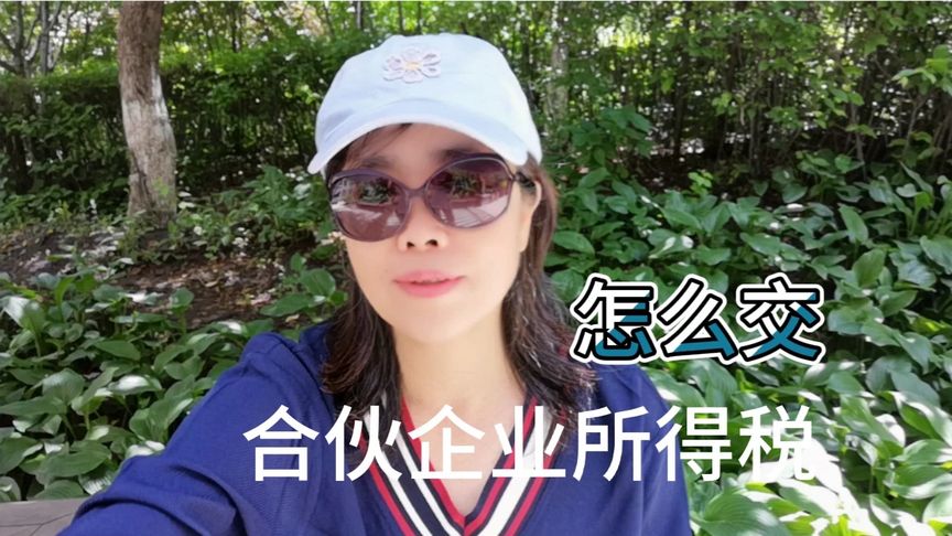 合伙企业的所得税怎么交?