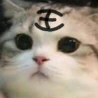 生活不易锅锅叹气 