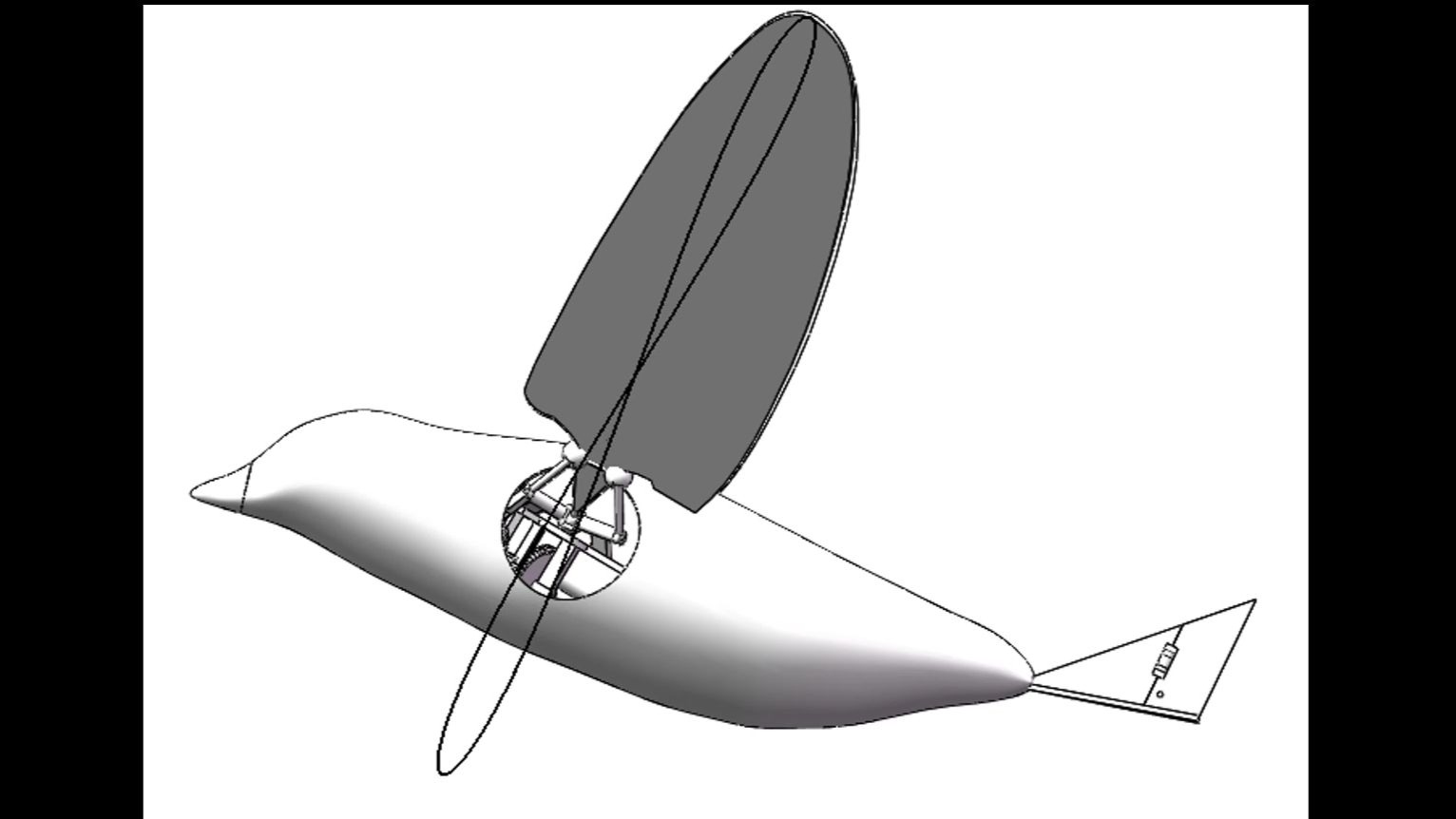 毕业设计—主动扭转仿生扑翼飞行器