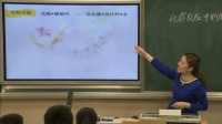 化学反应中的质量守恒
