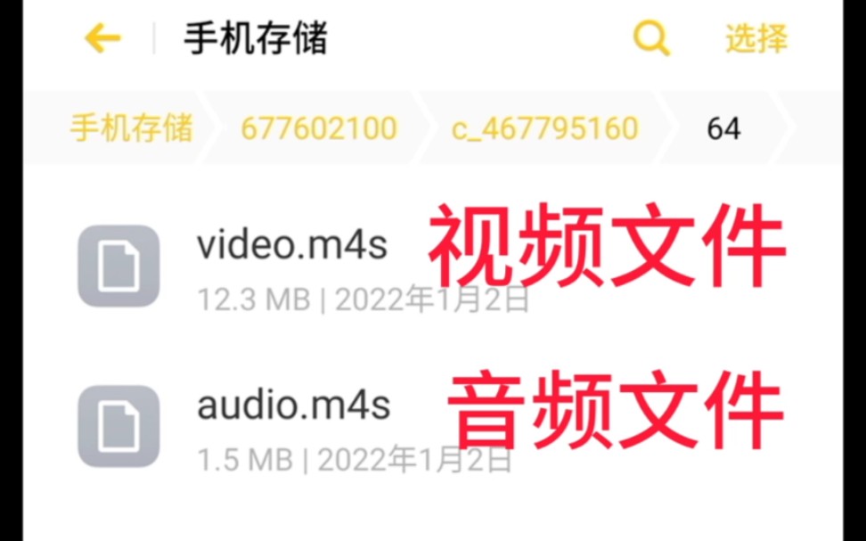如何下载b站视频?查看文件位置?