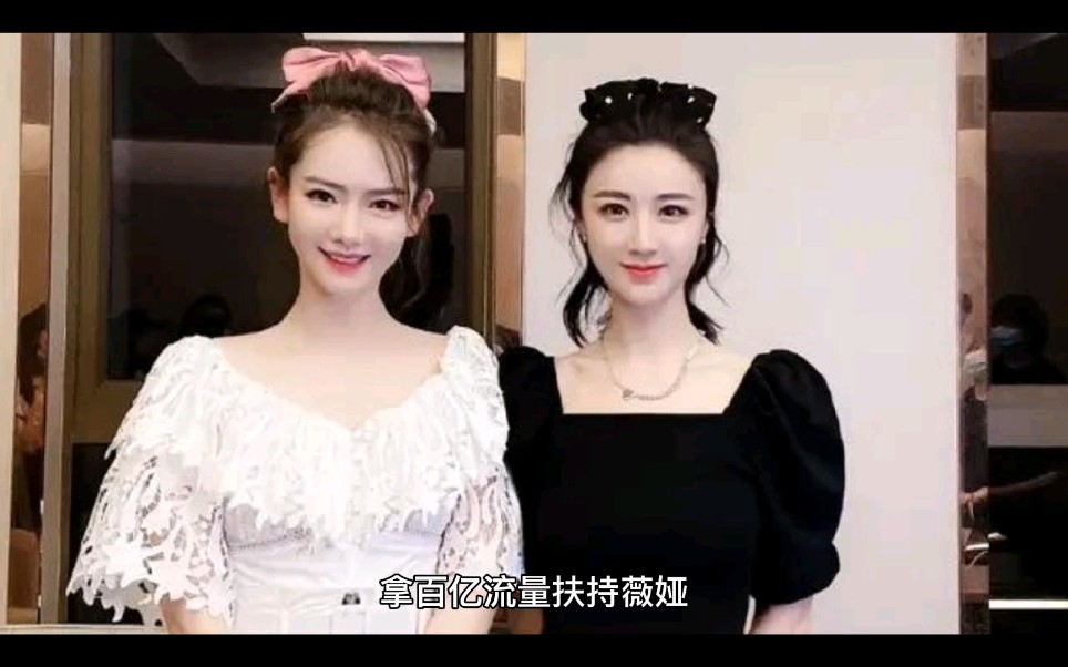 薇娅偷税漏税背后的故事