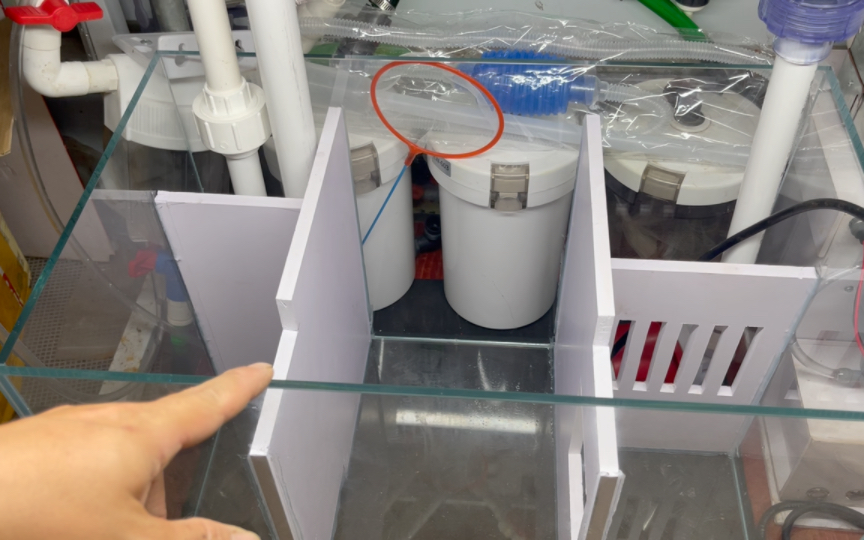 自己DIY海缸底滤缸,一张半解决。就是没有那么精致