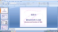 RNA的结构和功能