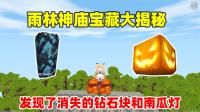 迷你世界游戏之旅 第80集 迷你世界:雨林神庙宝藏大揭秘!原来消失的...
