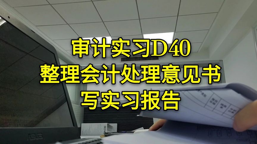 【审计实习D40】整理会计处理意见书丨写实习报告