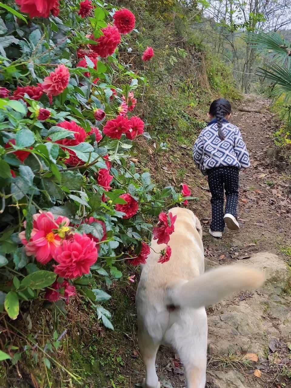 上学在学校有小朋友,放假在家也有一群特别的朋友,怎么会不开心呢#萌...