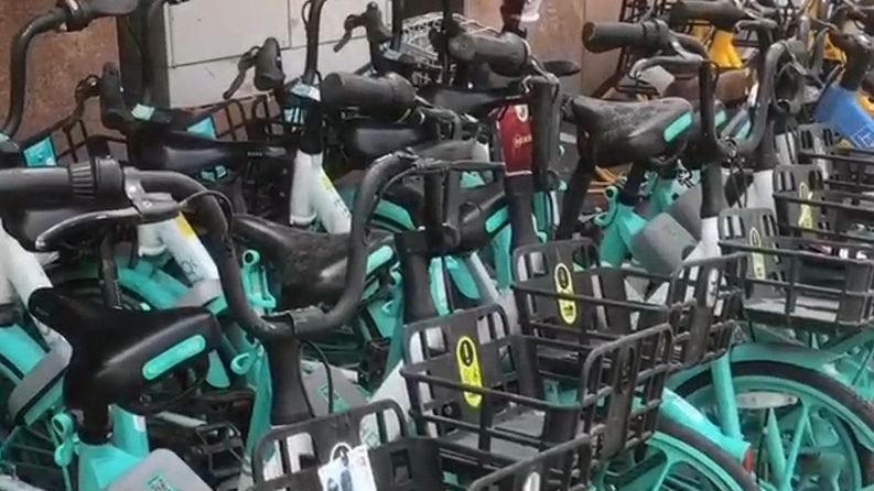 济南青桔单车用户碰上闹心事:账号莫名被封,“异常”记录连客服也...