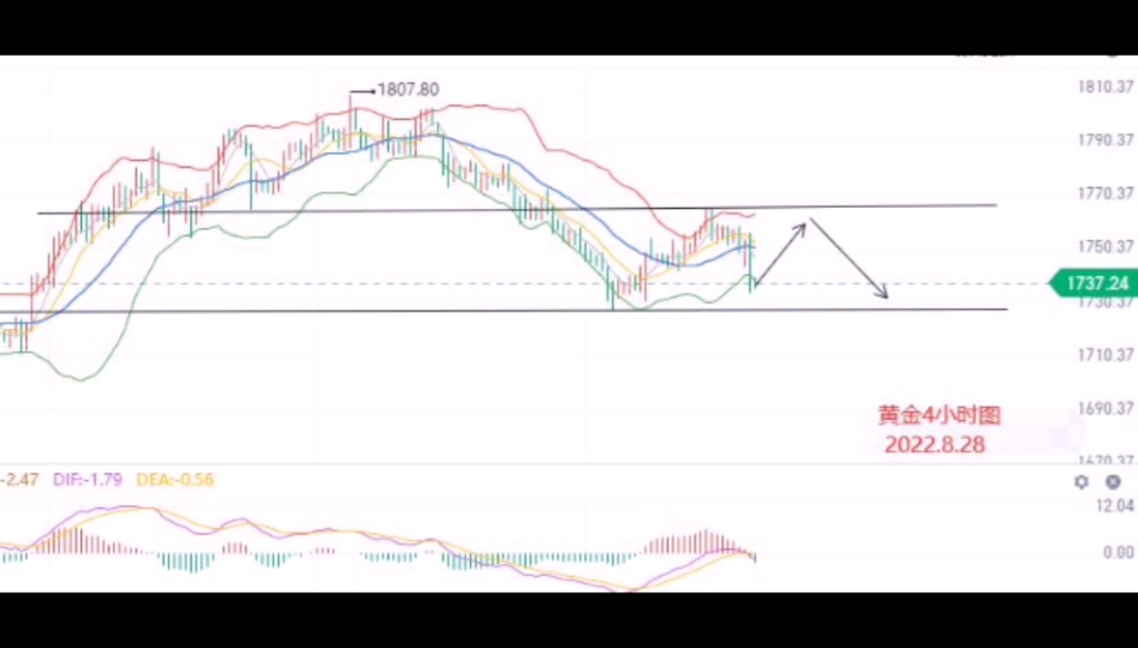 艾紫馨:黄金下周震荡回落 期货行情分析预测