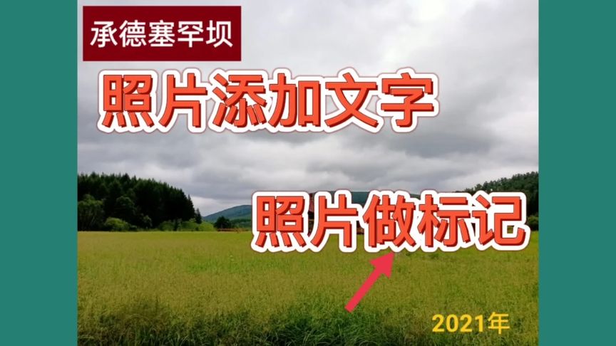 如何用手机给自己拍的照片添加文字或做标记?记录美好时刻