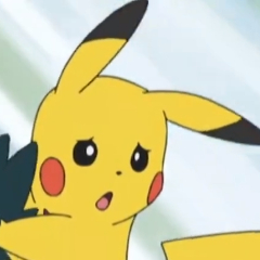 爱吃鸭子的大葱 