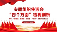 专题组织生活会“四个方面”检视剖析(PPT课件)