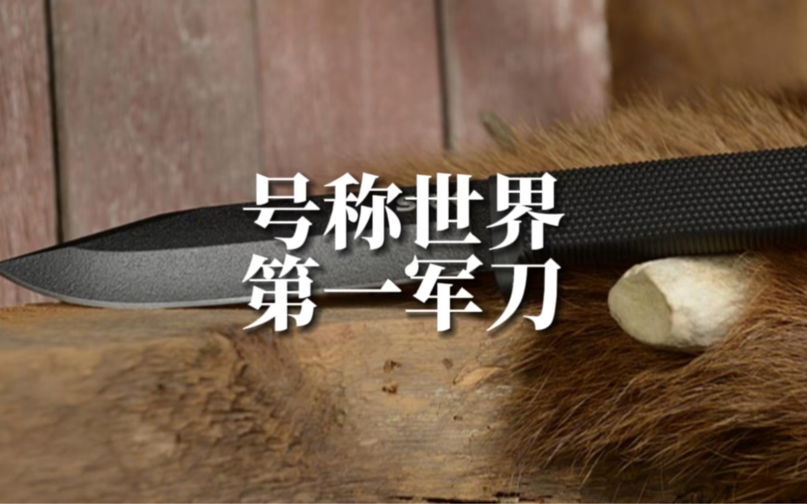 号称世界第一的军用匕首!#装备 #军旅 #战友