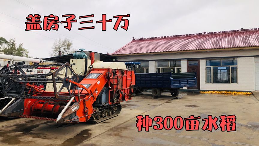 东北农村大哥家种300亩水稻,三台收割机三十多万,盖房子三十万