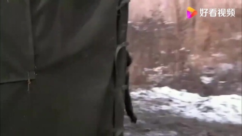 女鬼子在树上留记号,战士一路跟踪她,将记号做成了反方向