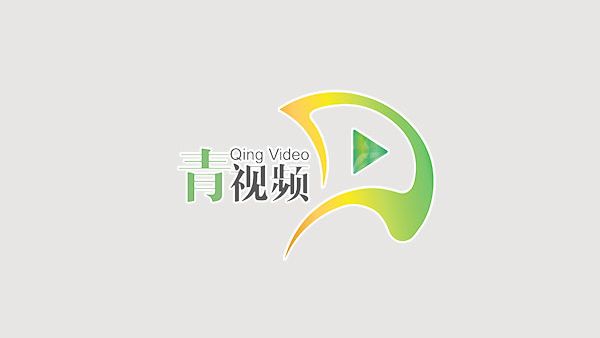 直击东航客机坠毁事故现场 各方全力寻找另一部黑匣子