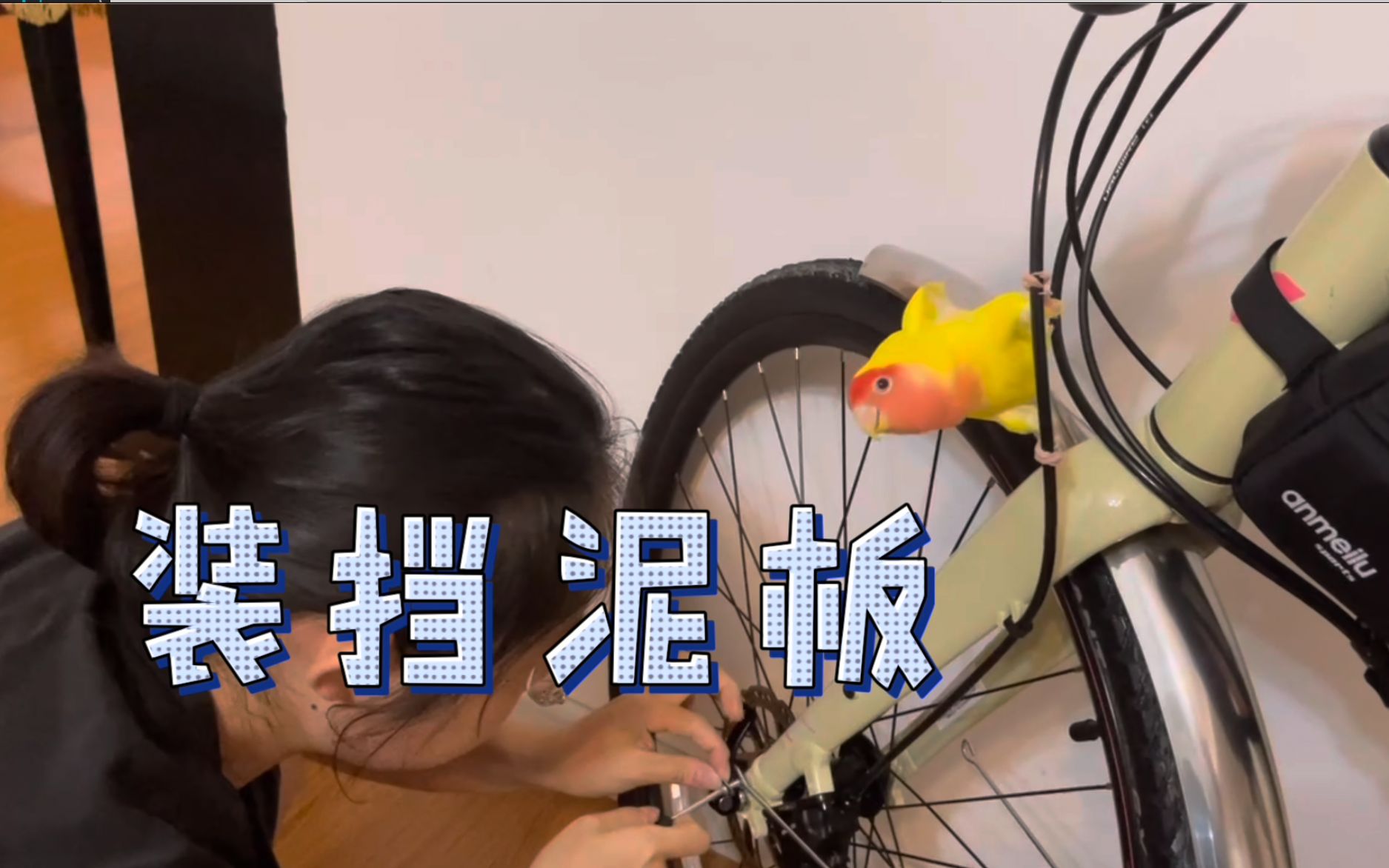 自行车装上挡泥板,以后下雨也不怕了,小监工友情出演