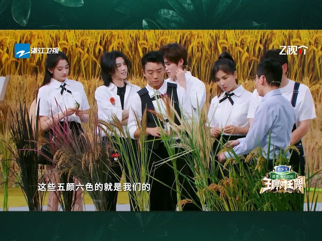 王牌对王牌8 学到了丰富的水稻知识,还感受到了粮食的珍贵!