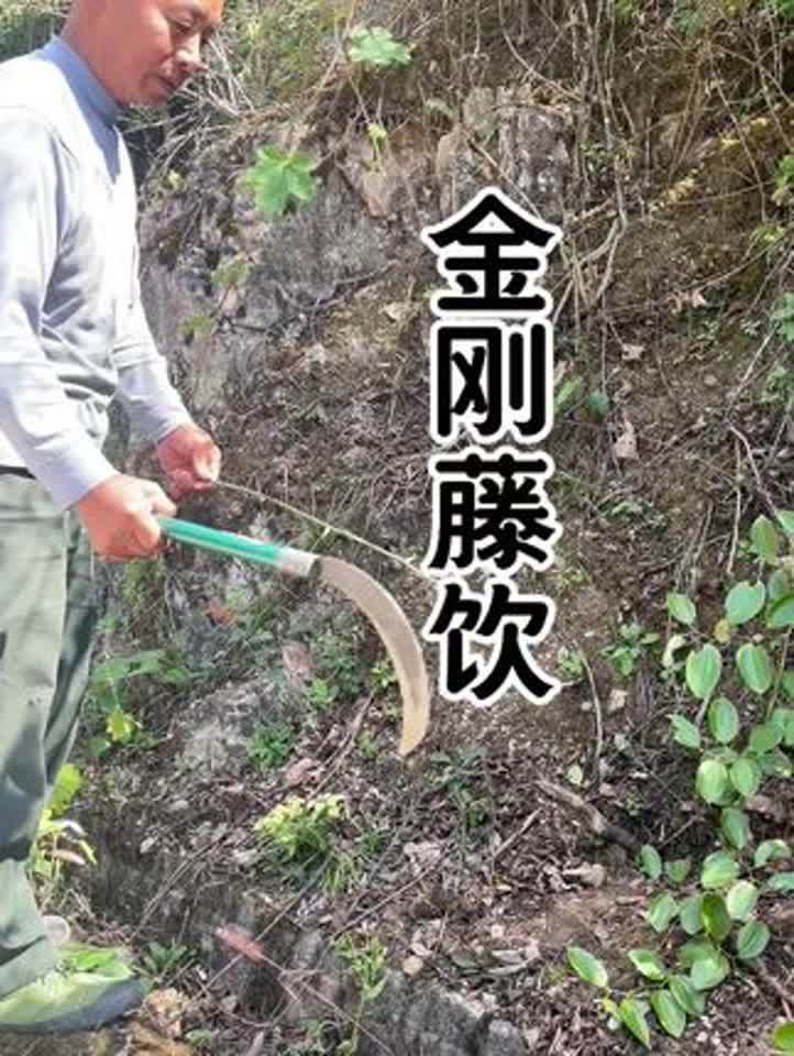 金刚藤,在我们农村也是一种很独特的植物,它的茎秆很坚硬,别看很小...