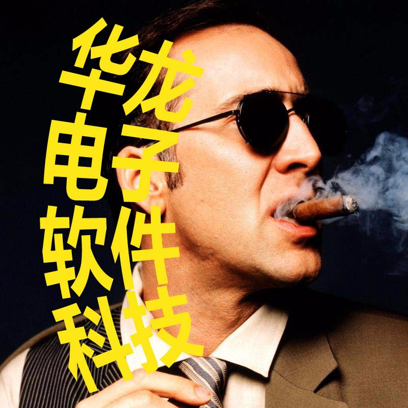 华龙电子软件科技 