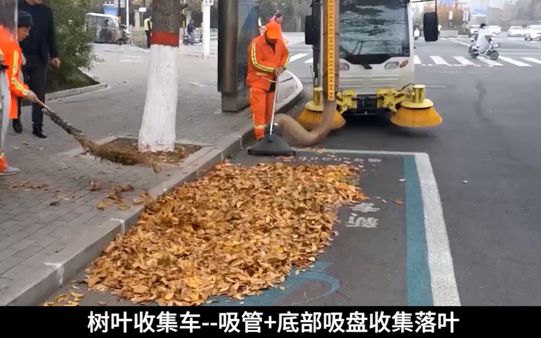 多功能树叶收集车高效收集成堆,零散树叶