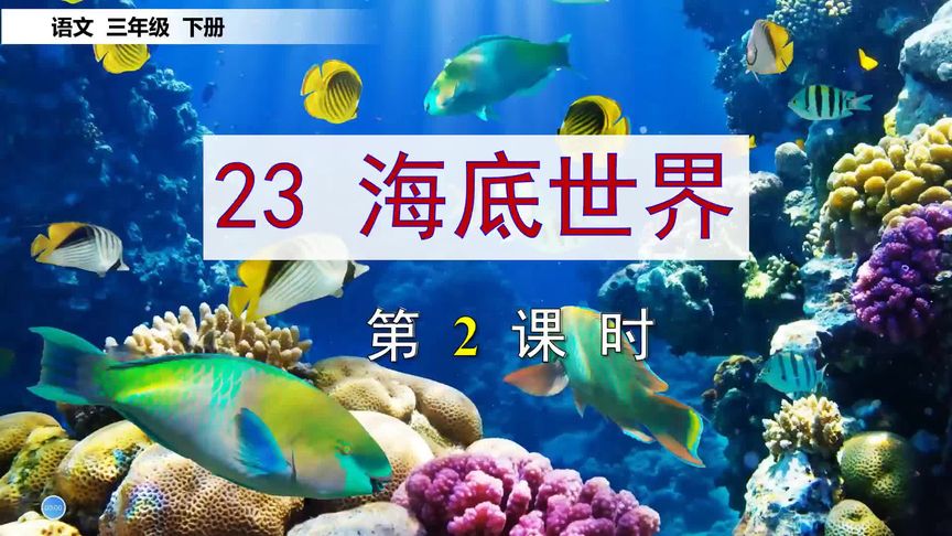 三年级下册语文《23.海底世界》第二课时#学浪计划#
