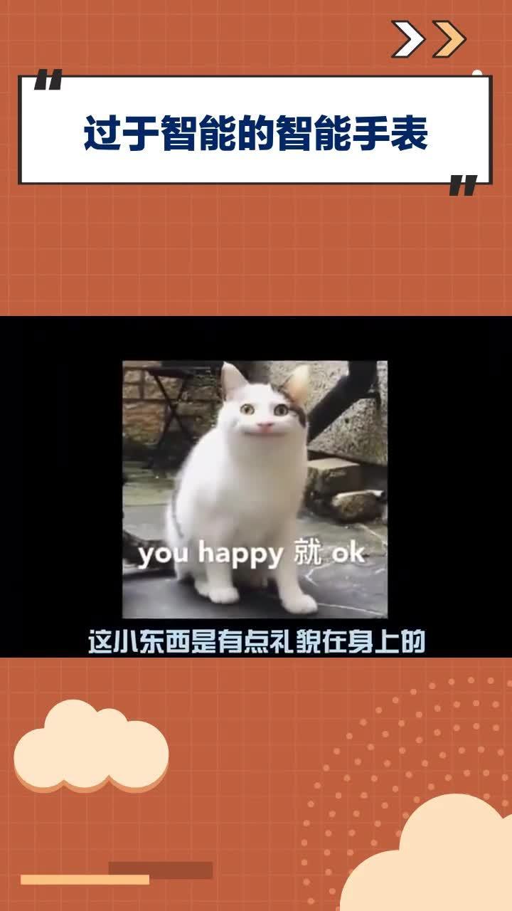 过于智能的智能手表