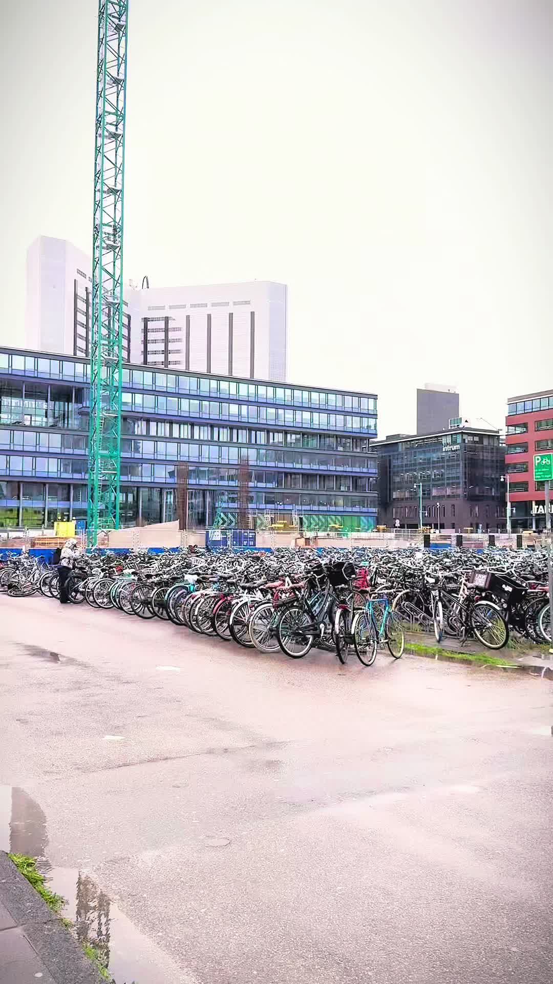 人均两辆自行车 荷兰人怎么找自己的车? 荷兰人出行靠自行车+轻轨 ...