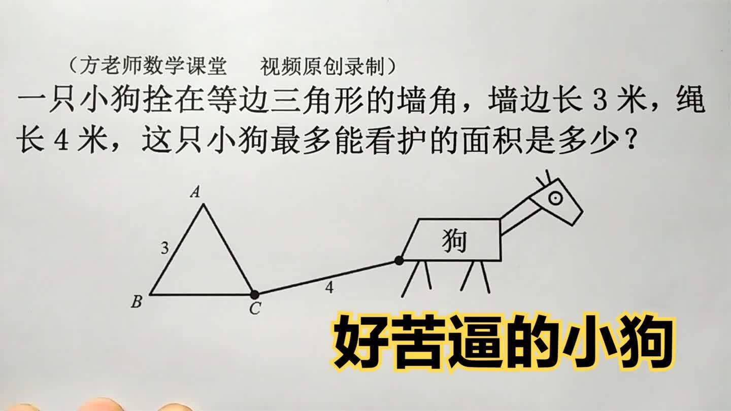 怎么求小狗最多能看护的面积是多少?六年级数学,扇形面积.