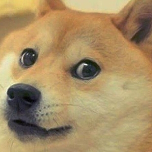 资本家的游戏 