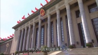 《刑法修正案(九)》《教育法》警示教育宣传片