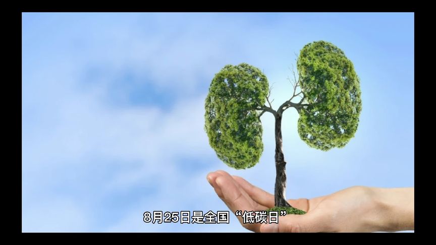 低碳日低碳生活倡议书