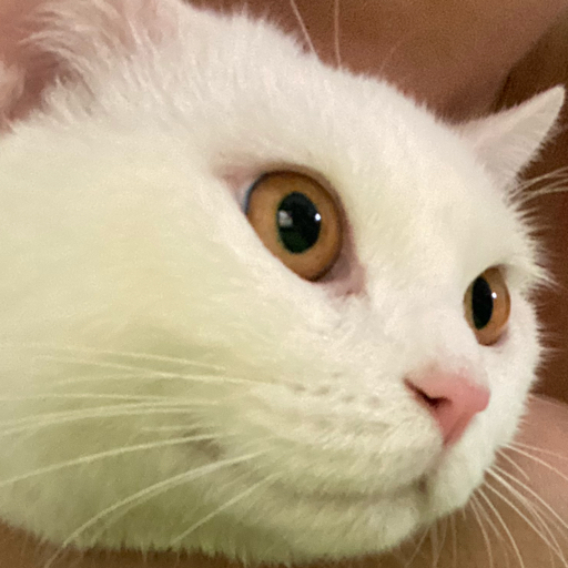 贫穷开箱 