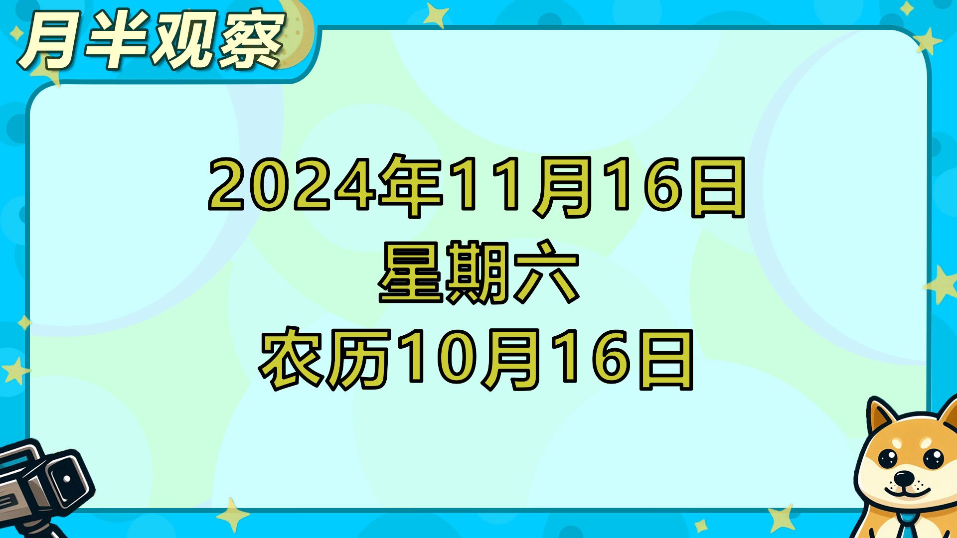 20241116财经播报