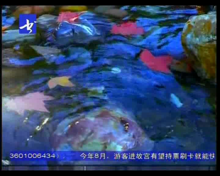 国画教学-山水画教学-赵步唐山水画教学视频（共34讲）