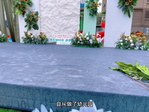 休息在家的这两天,毕业还有一段时间,但脑子里又在策划着今年孩