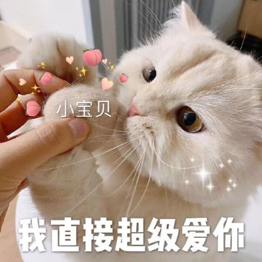 二珂不是喵 