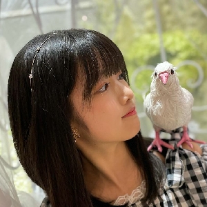 みせいねんしょうじょ 